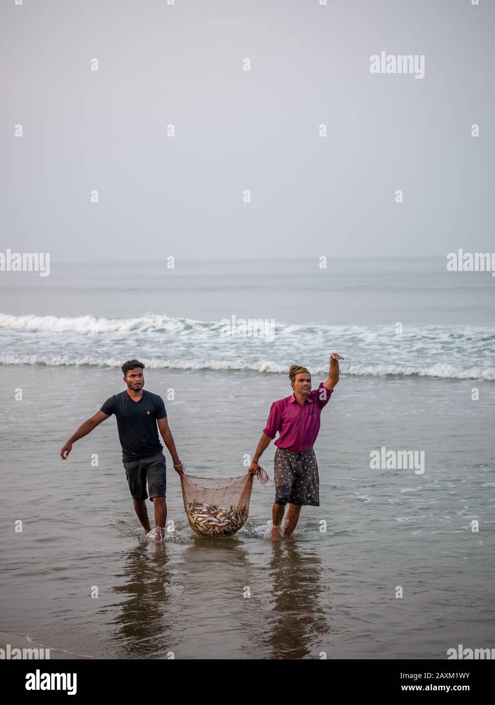 Malvan, India - December 22, 2019 : Indian fishermen carrying freshly ...