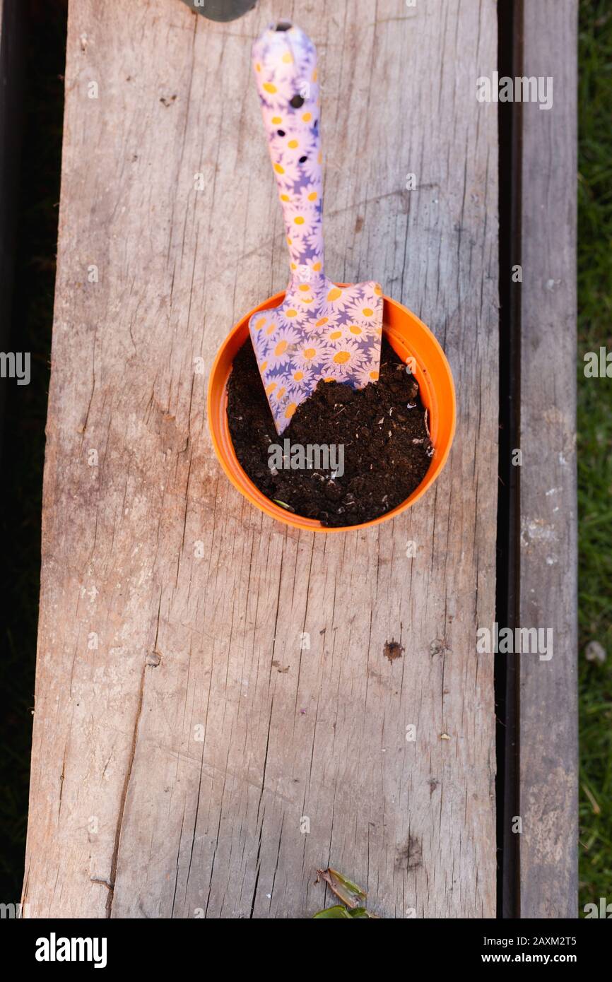 pink shovel of flowers buried in a pot of the garden of the house Stock ...