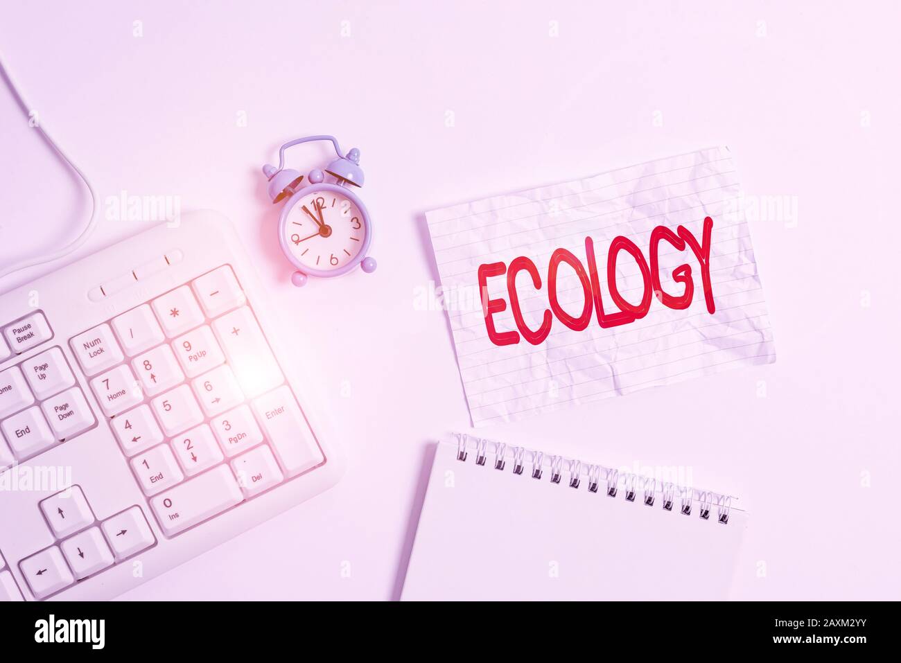Conceptual hand writing showing Ecology. Concept meaning Branch of ...