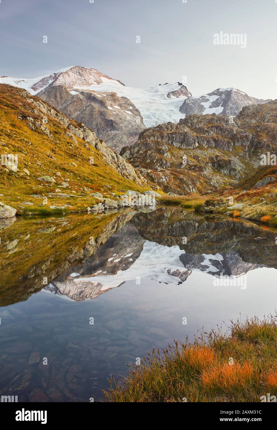 Steingletscher High Resolution Stock Photography and Images - Alamy