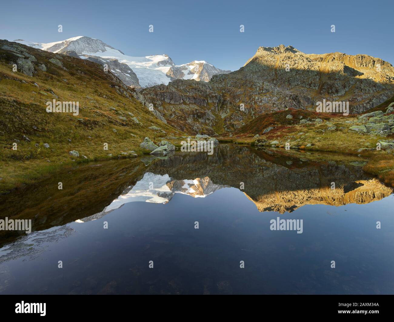 Steingletscher hi-res stock photography and images - Alamy