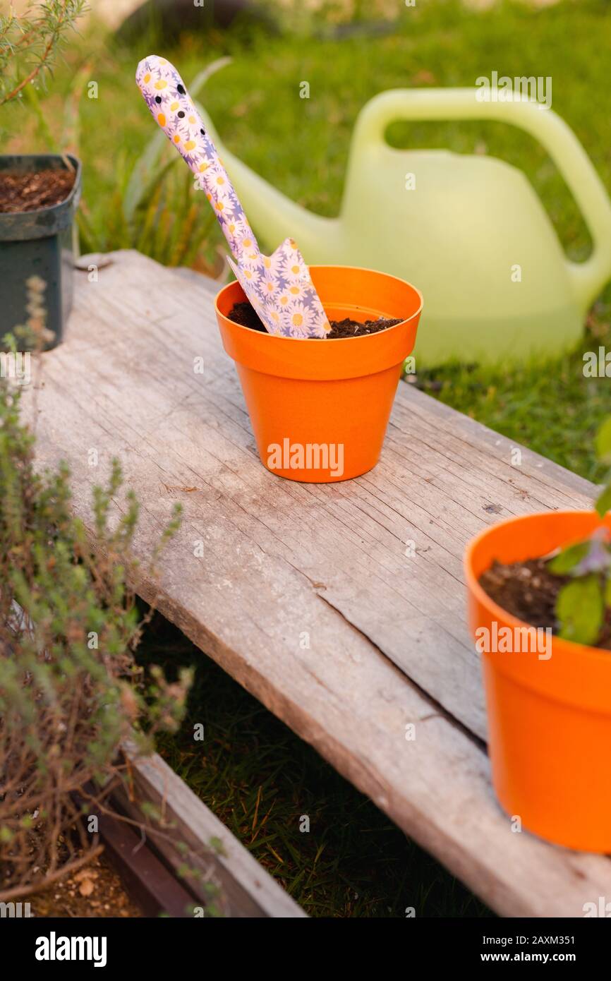 pink shovel of flowers buried in a pot of the house garden Stock Photo ...