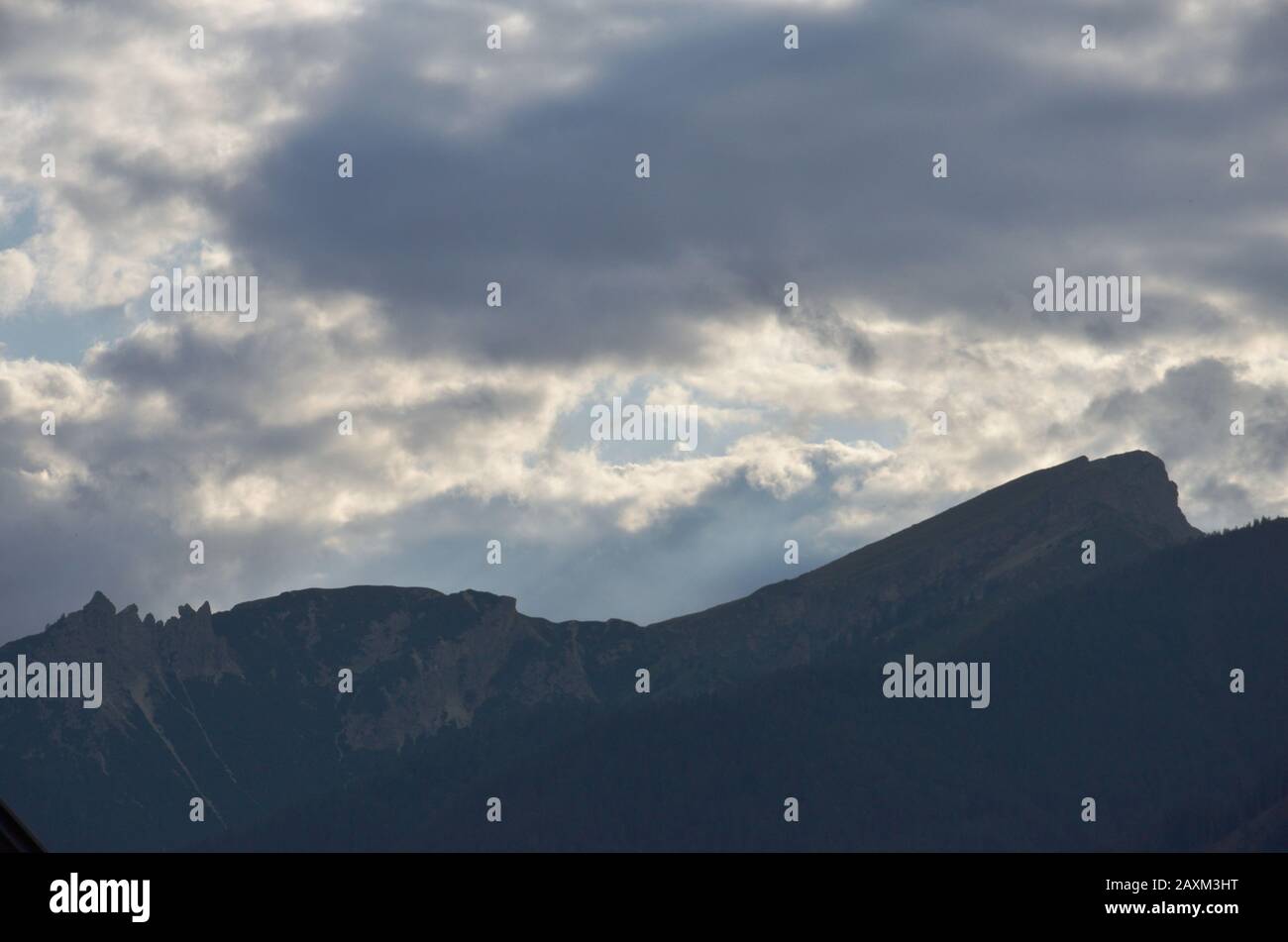 Profiles summer hi-res stock photography and images - Alamy