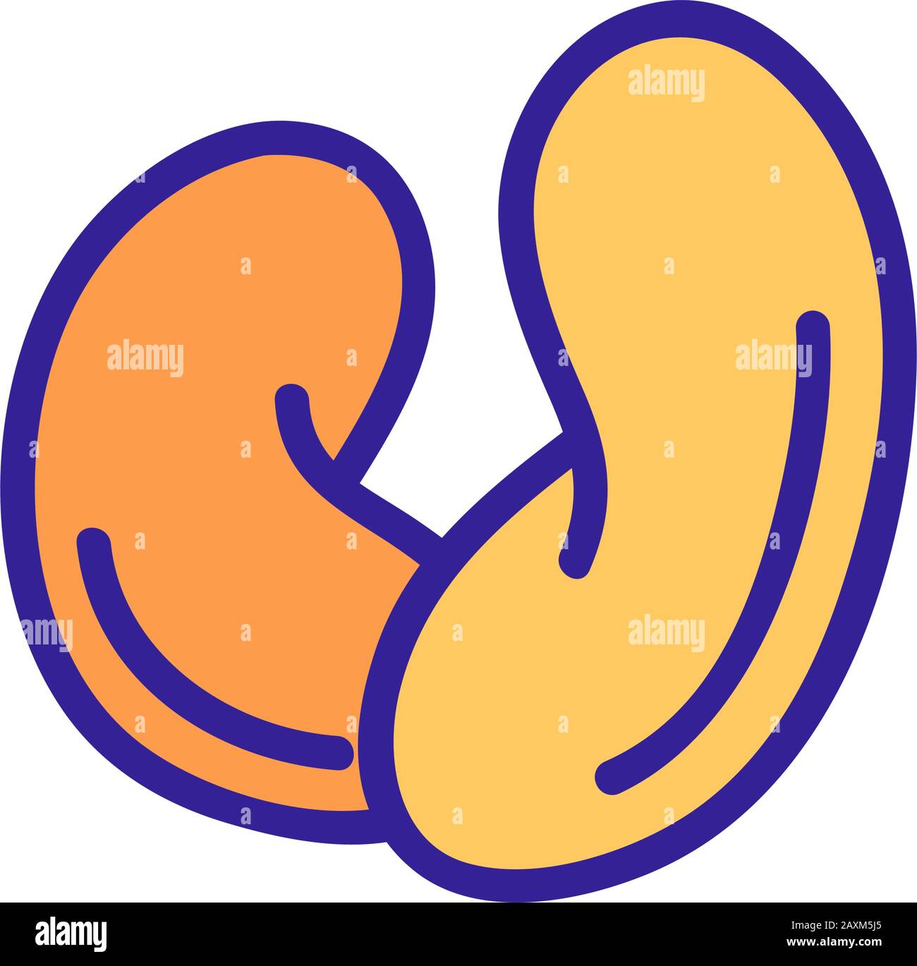 Nut icon vector. Isolated contour symbol illustration Stock Vector ...