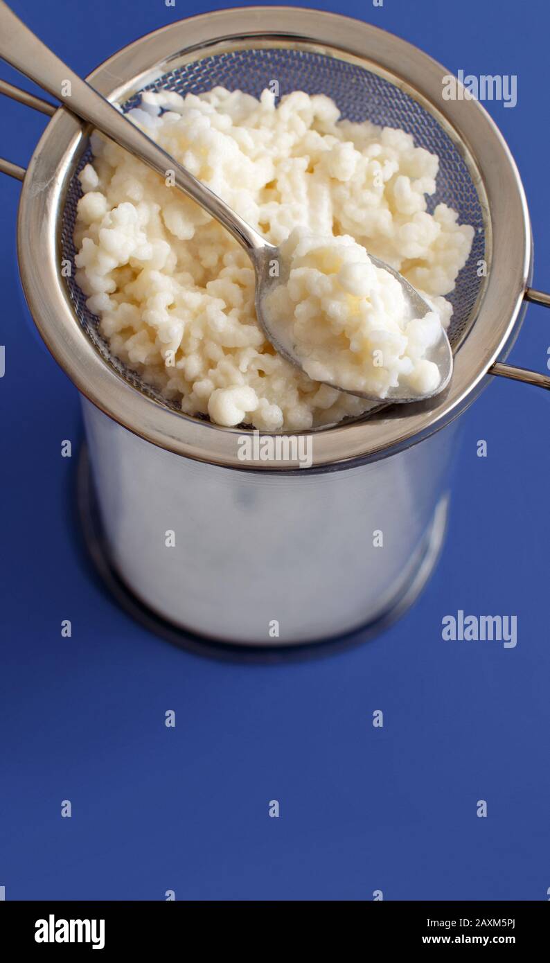Preparation of fermented drink kefir close up Stock Photo - Alamy
