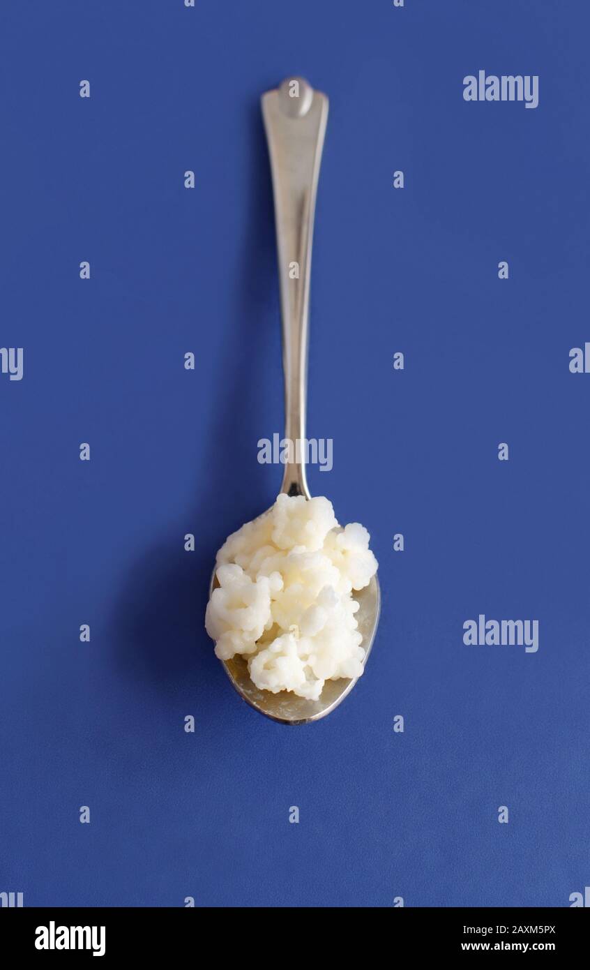 Kefir grains starter hi-res stock photography and images - Alamy