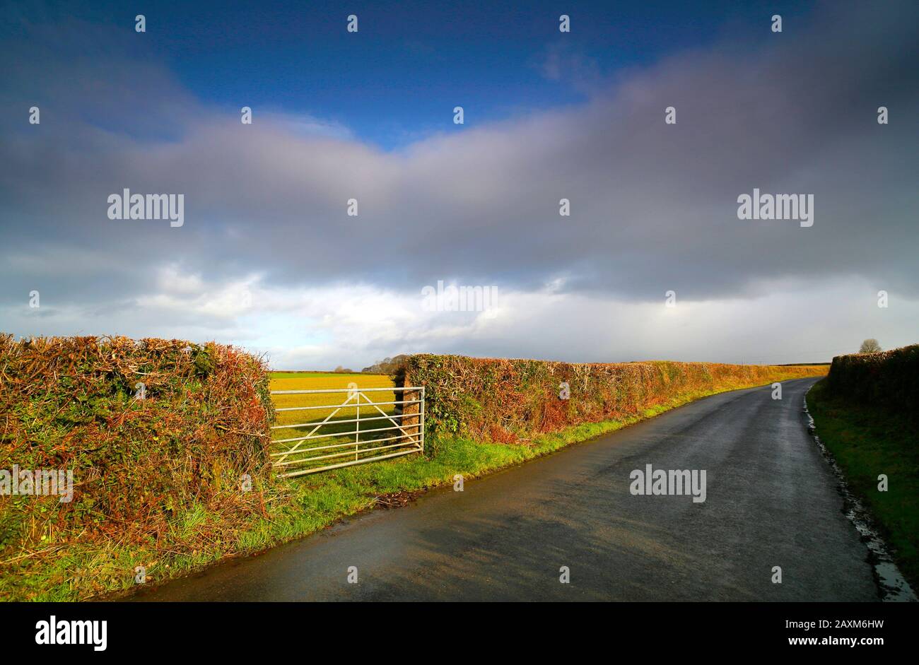 Trimmed hedgerows hi-res stock photography and images - Alamy