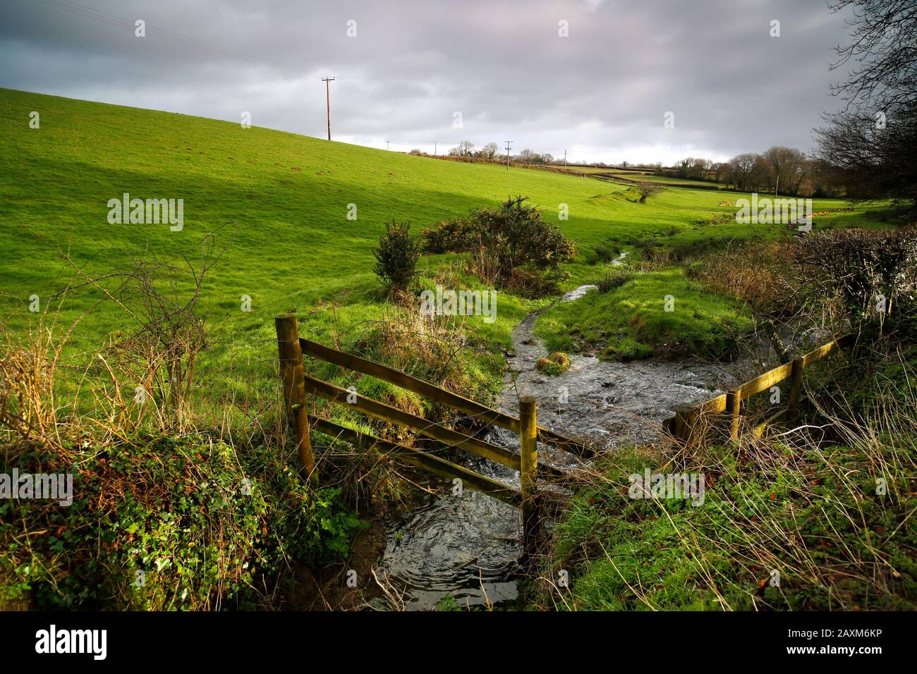 Devon countryside near Buckland Monachorum Stock Photo - Alamy