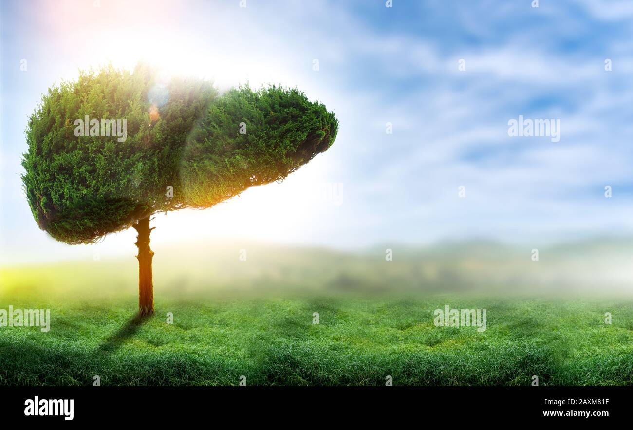 Illustration of a tree in the shape of a liver (environment and ...