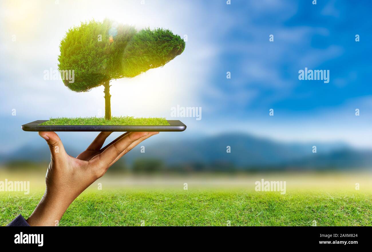 Illustration of a tree in the shape of a liver (environment and ...