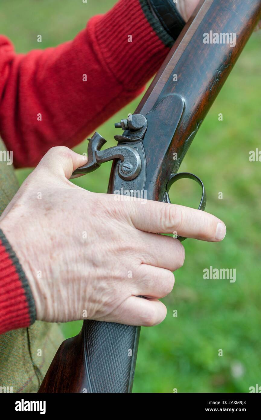 A man loading an antique black powder muzzleloading shotgun on a game ...