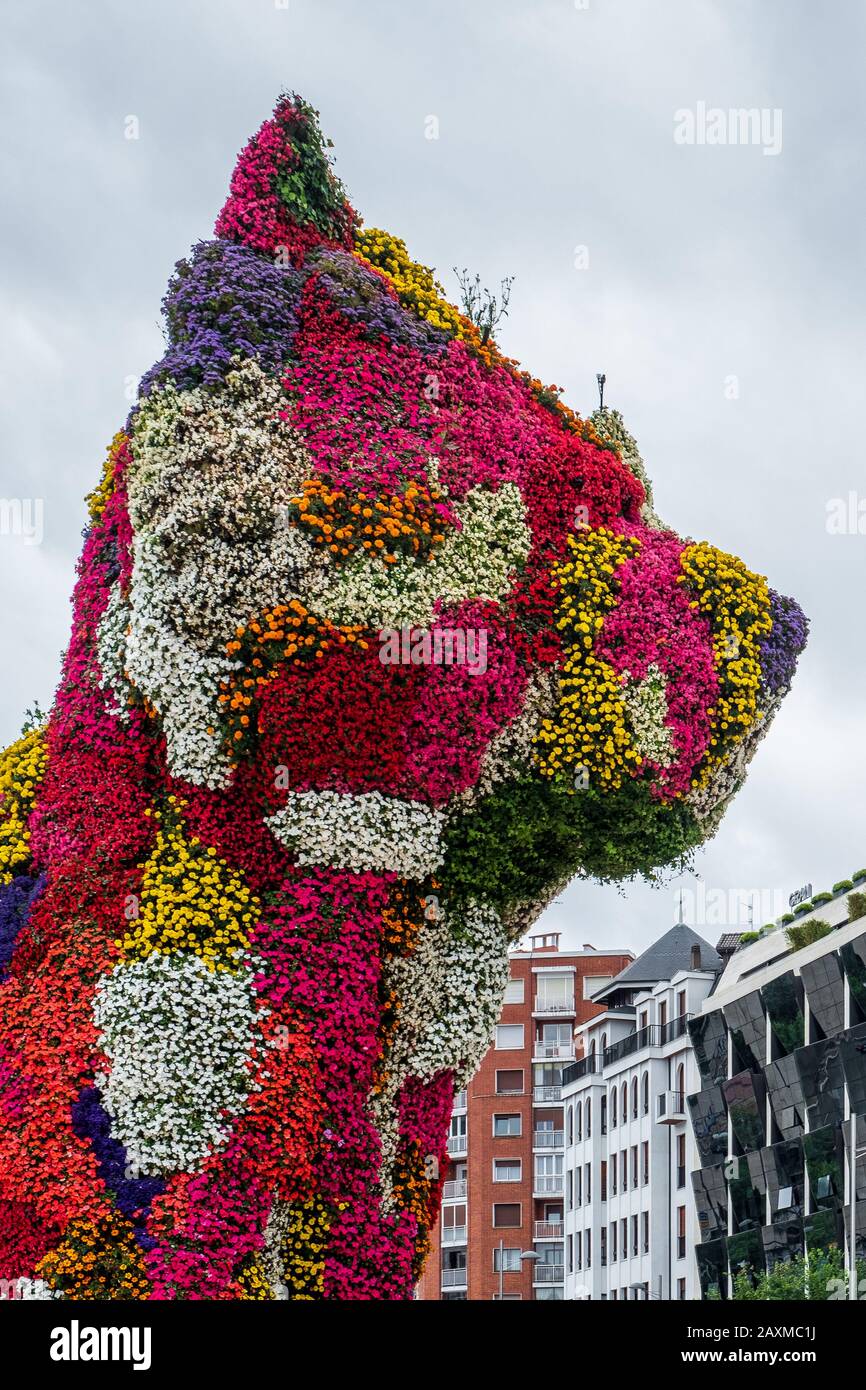 Puppy bilbao hi-res stock photography and images - Alamy
