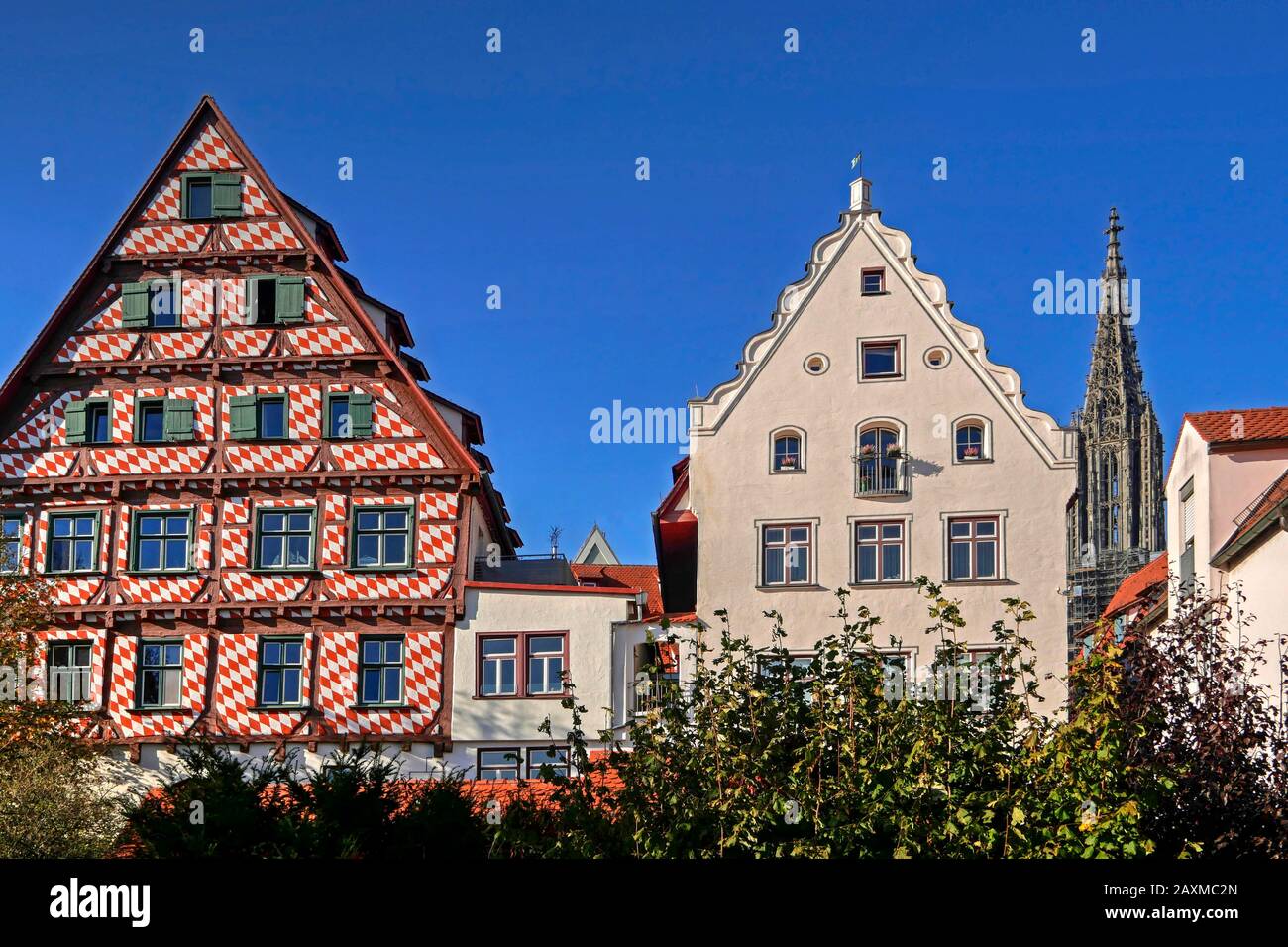 Old town houses at the city wall, Ulm, Baden-Wuerttemberg, Germany ...