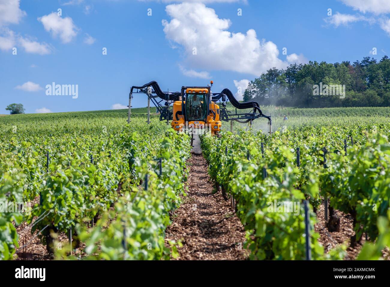 Vineyard spraying biodynamic france hi-res stock photography and images ...