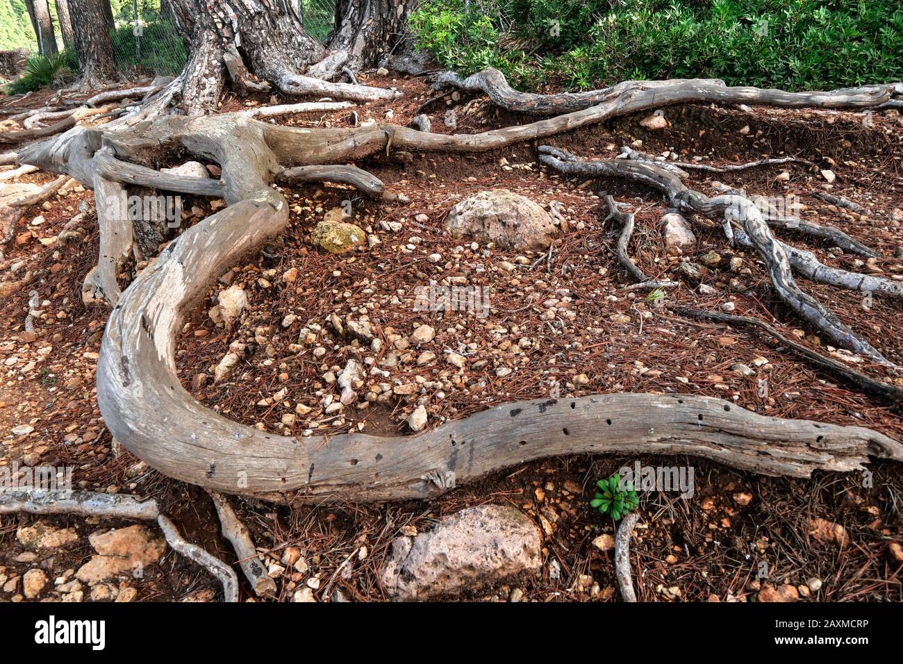 Aerial view dried in places hi-res stock photography and images - Alamy