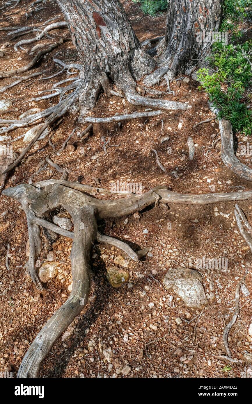 Aerial view dried in places hi-res stock photography and images - Alamy