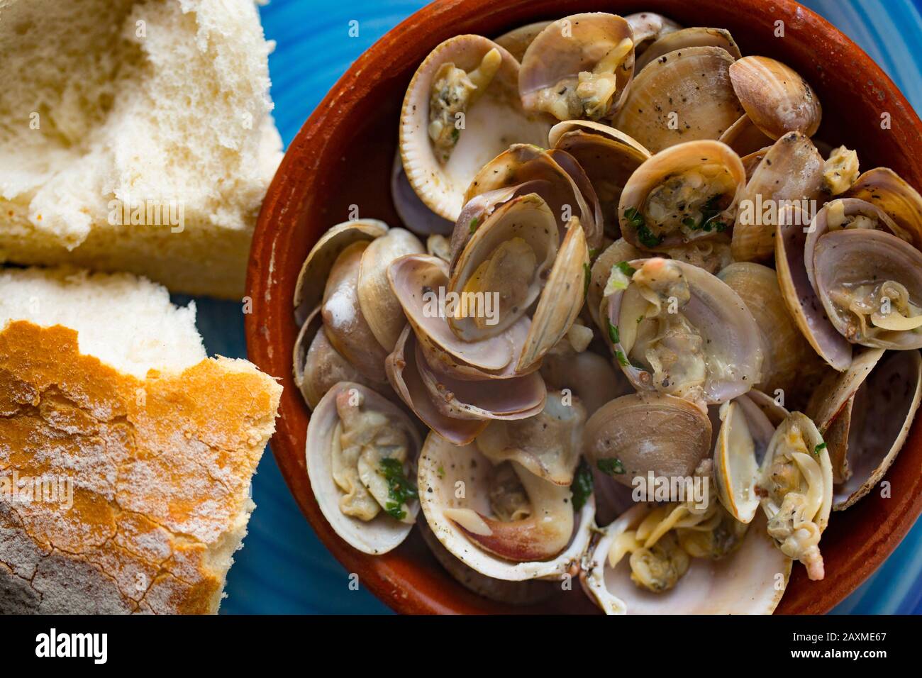 Trough shell hi-res stock photography and images - Alamy