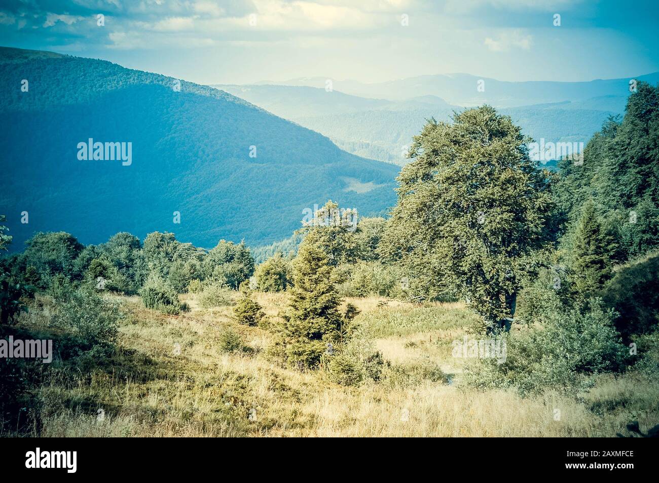 Tropical mountain slope hi-res stock photography and images - Alamy