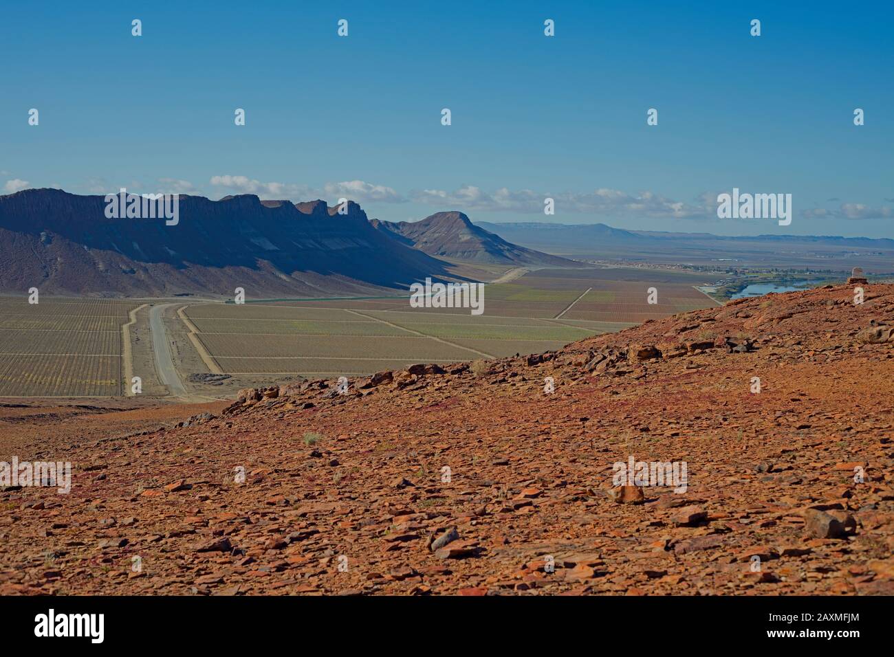 newly created for viticulture on the Oranje border river with slope and ...