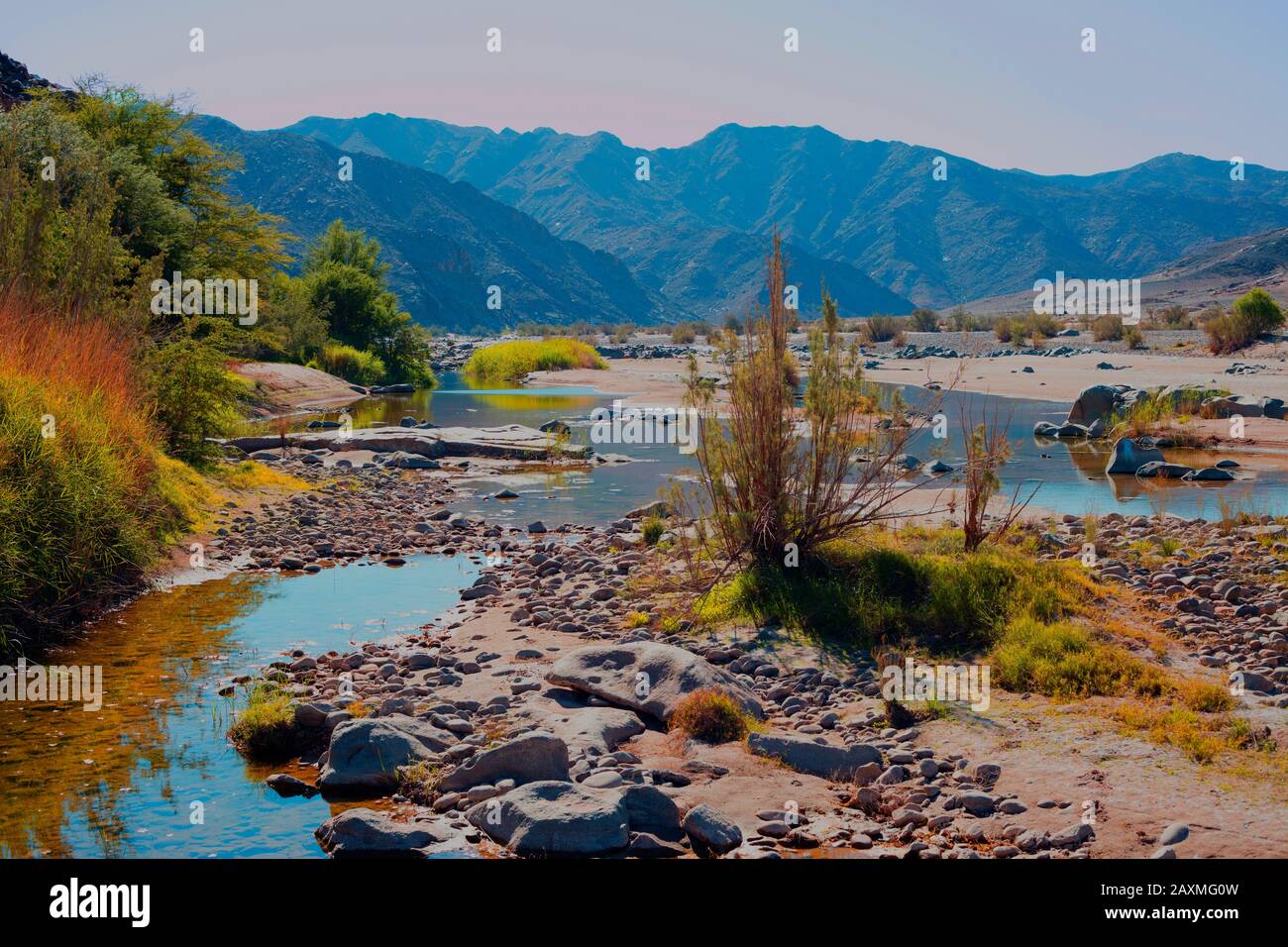 Reed covered riverbed hi-res stock photography and images - Alamy