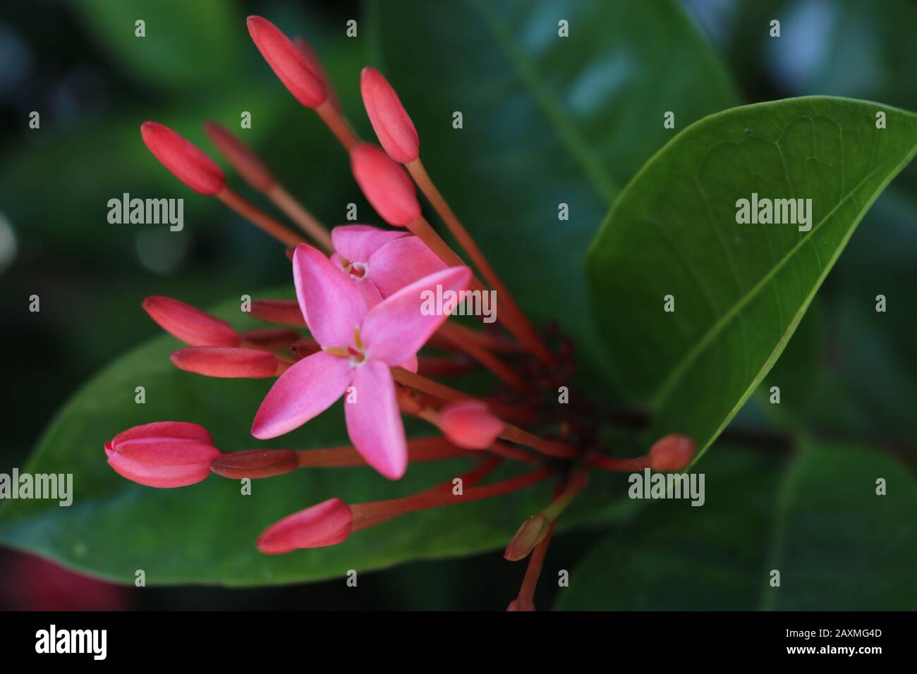 Islandsofadventure hi-res stock photography and images - Alamy