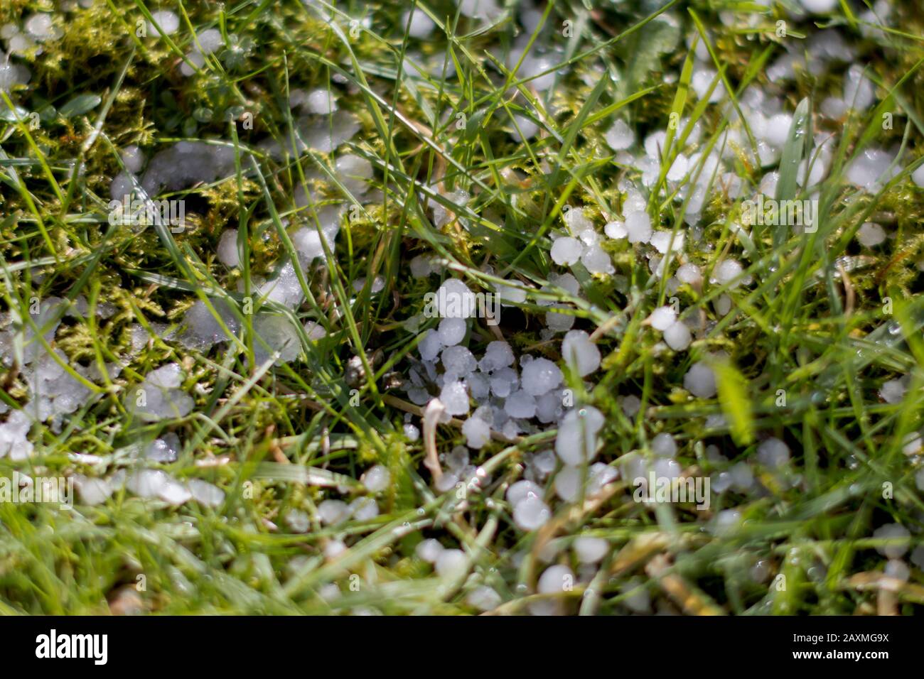 Small hail stones hi-res stock photography and images - Alamy