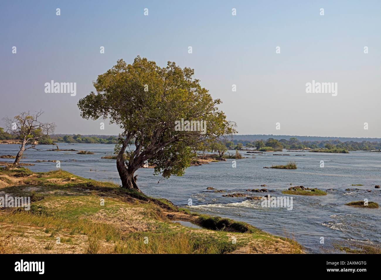 Zambezi river with riparian zone, sandbank and growth, on the opposite ...
