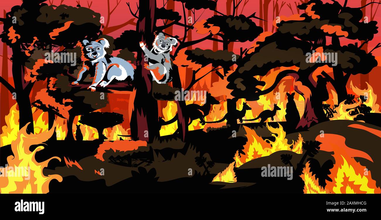 Dead Animals In Forest Cartoon