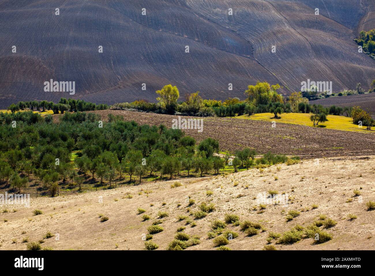 Scenery in the Crete Senesi Tuscany Stock Photo - Alamy