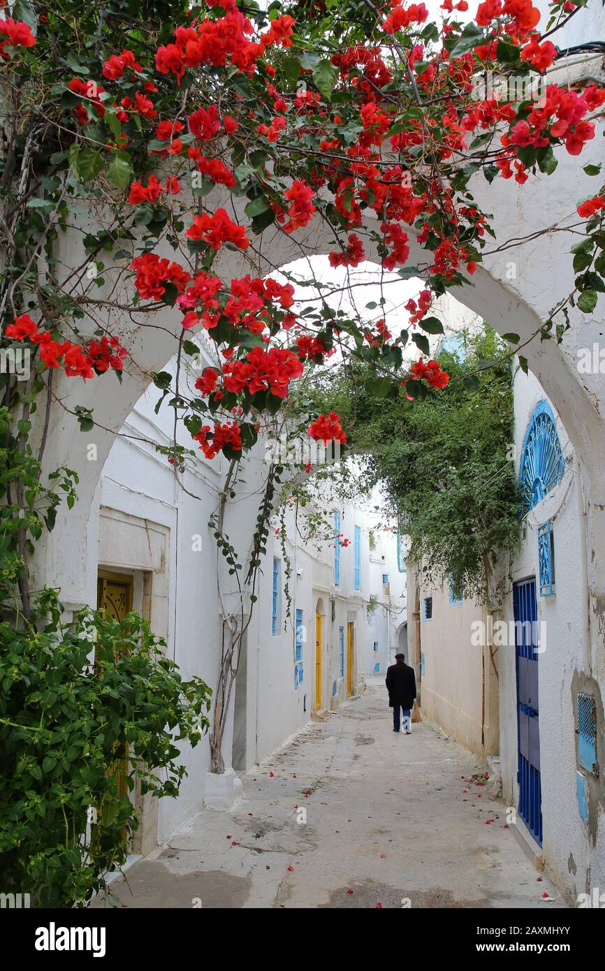 Typical cobbled and narrow street with colorful doors, arcades and ...