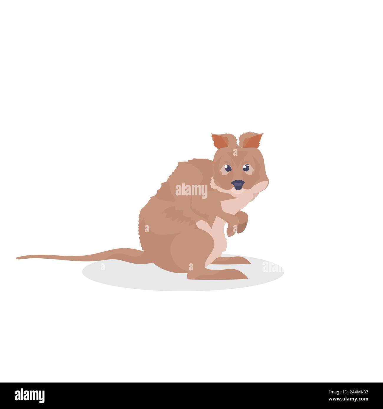 quokka icon cute cartoon wild animal symbol with shadow wildlife ...