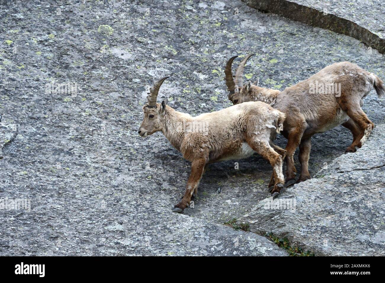 Two rock faces hi-res stock photography and images - Alamy