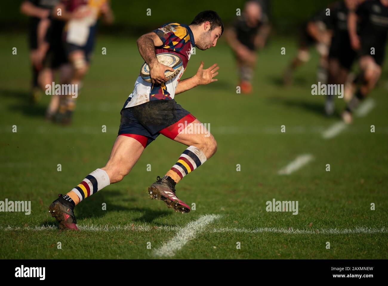 Sherborne rfc hi-res stock photography and images - Alamy