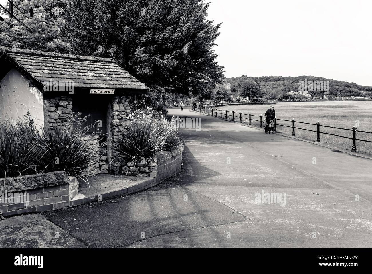Man with dog walk at Grange over sand, Morecambe Bay, UK Stock Photo ...