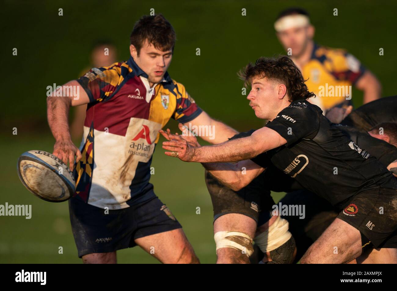Sherborne rfc hi-res stock photography and images - Alamy