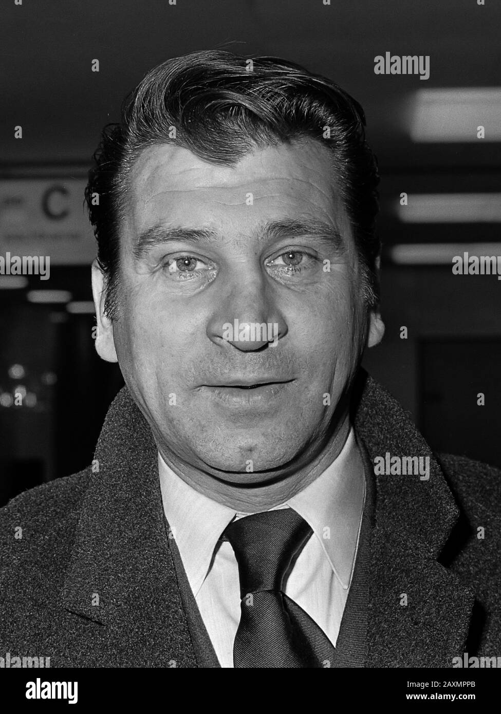 Trainer manolov hi-res stock photography and images - Alamy