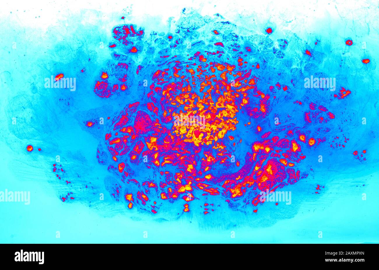 Coffee brewed in cup water hi-res stock photography and images - Alamy