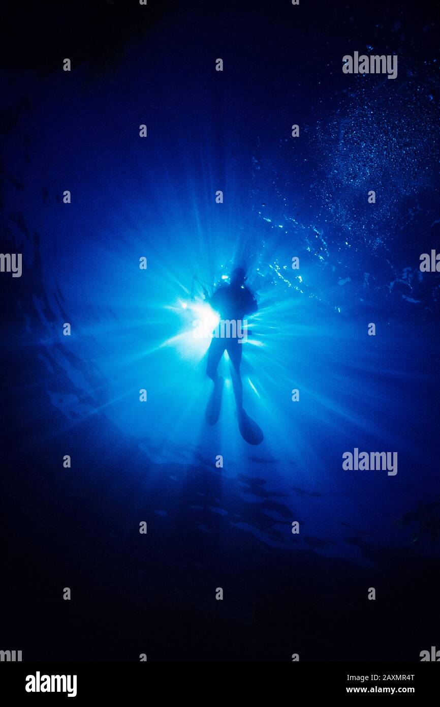 Prine hi-res stock photography and images - Alamy