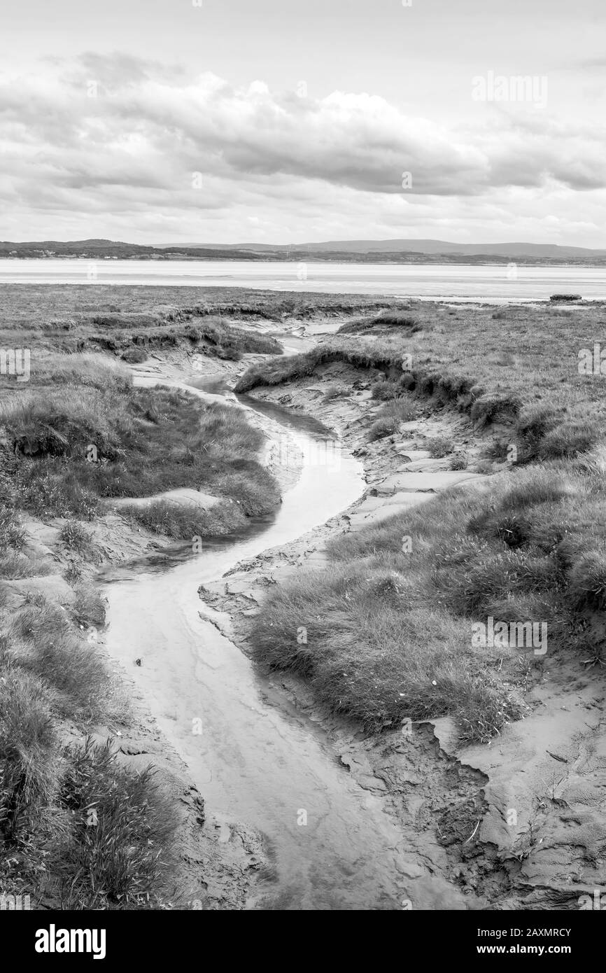 Morecambe bay field hi-res stock photography and images - Alamy