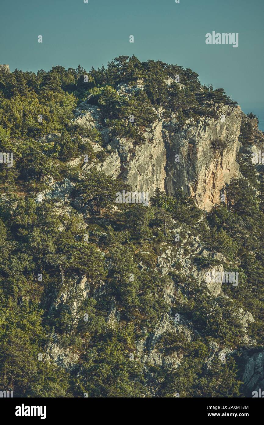 natural background cliff with forest, Crimea, filter Stock Photo - Alamy
