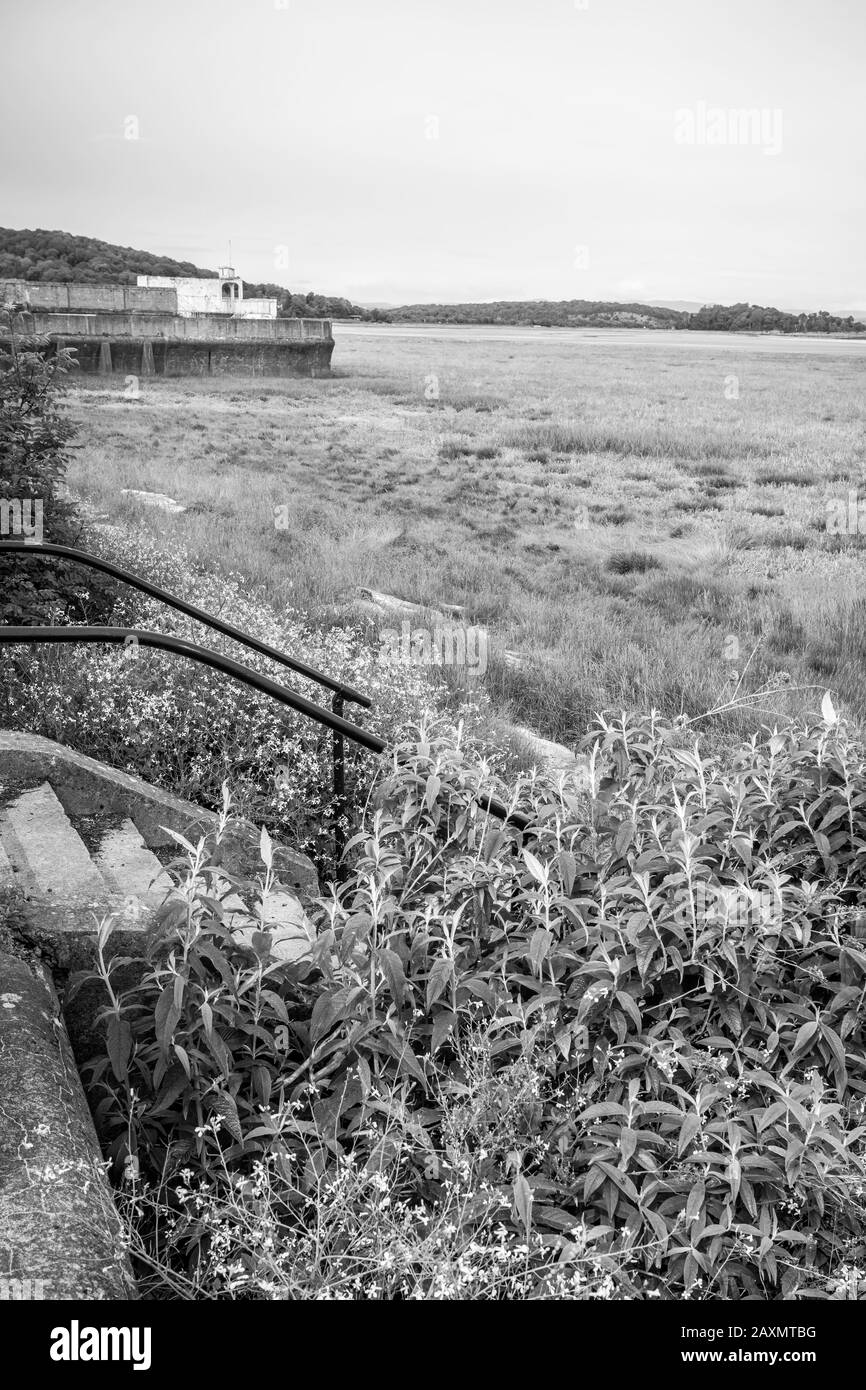 Grass field over view Black and White Stock Photos & Images - Alamy