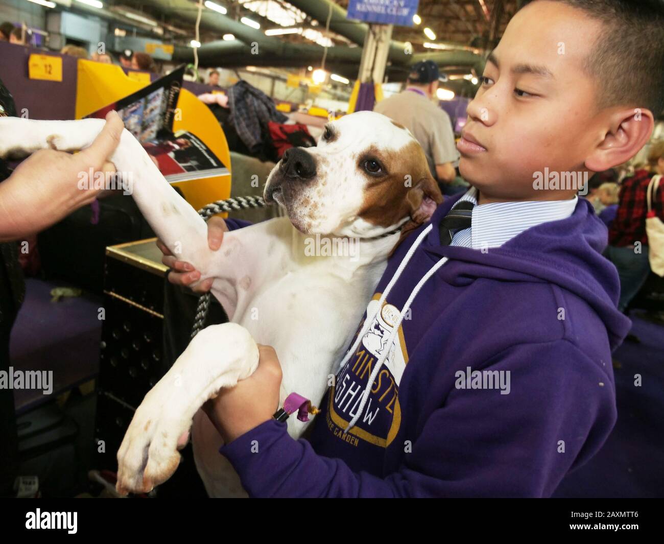 Bestinbreed hi-res stock photography and images - Alamy