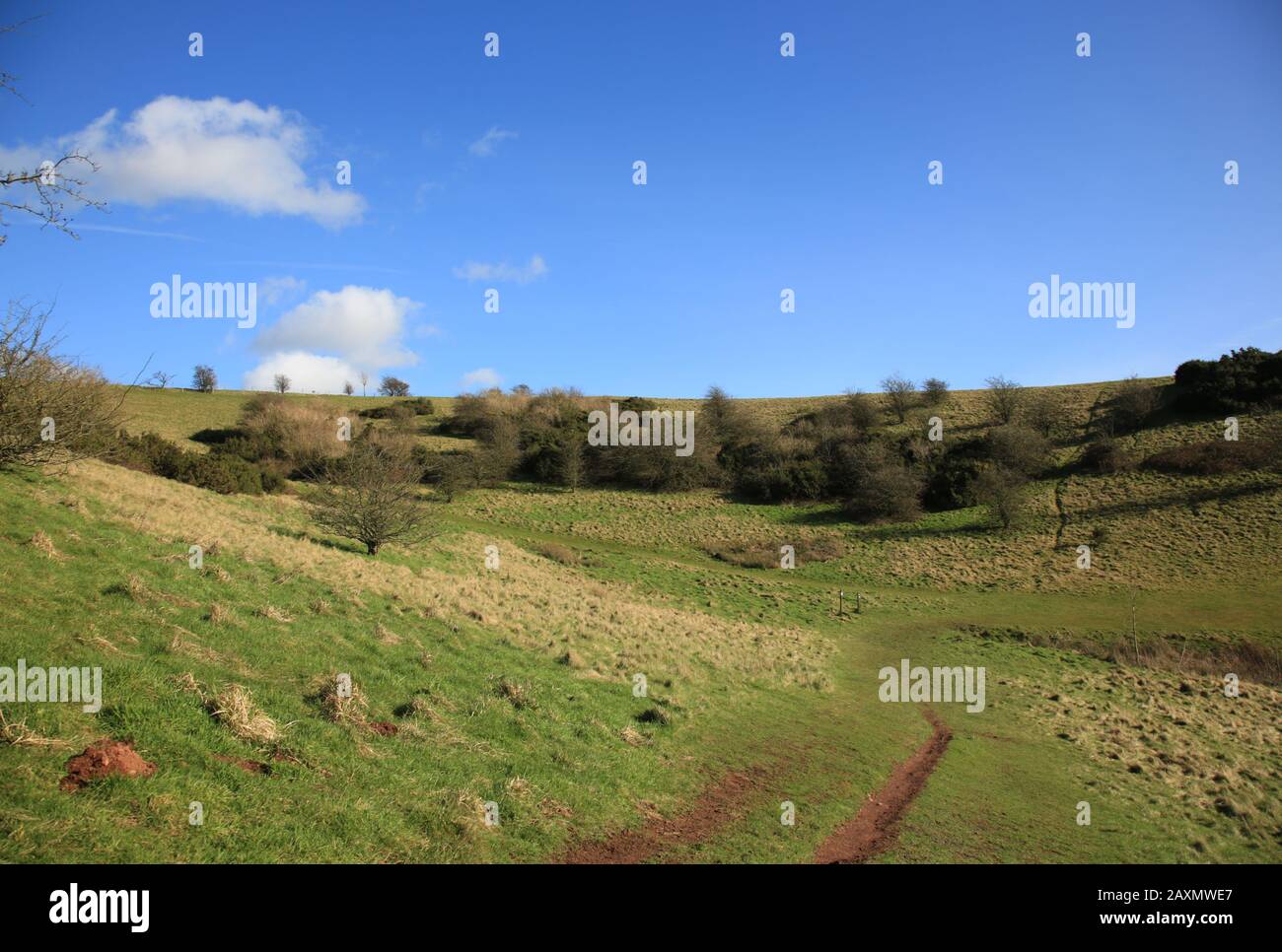Waseley hills country park, Rubery, Birmingham, England, UK Stock Photo ...