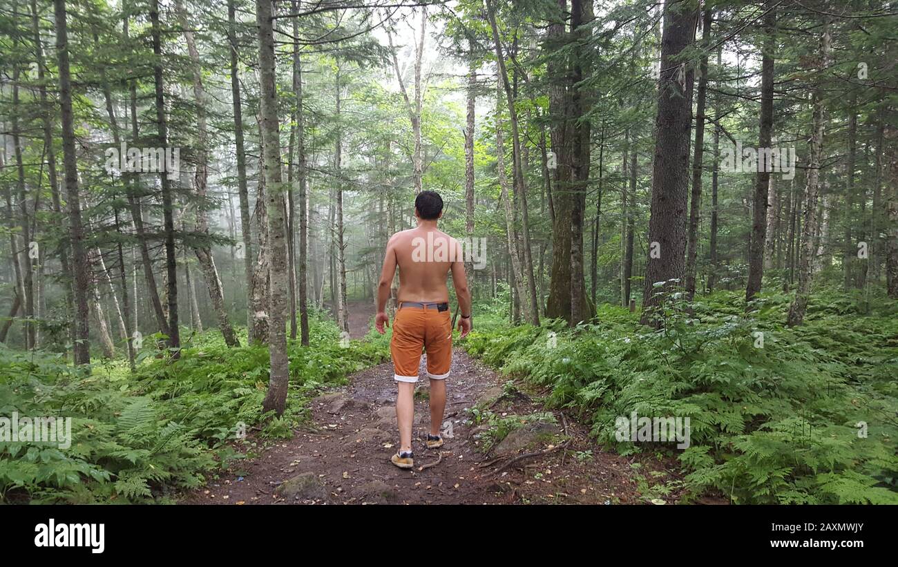 Man in rain forest hi-res stock photography and images - Alamy