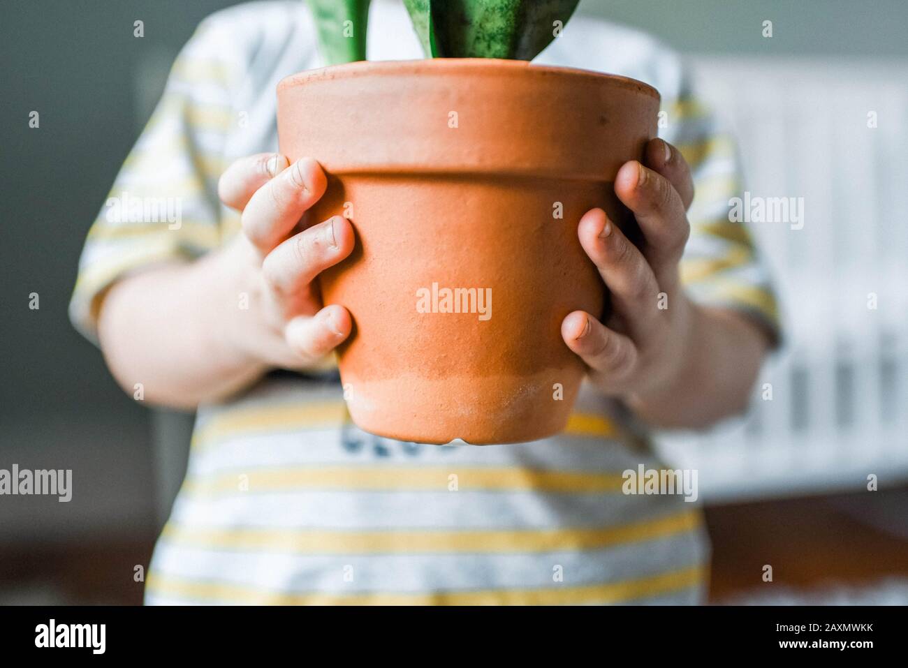 Children gardening planter hi-res stock photography and images - Alamy