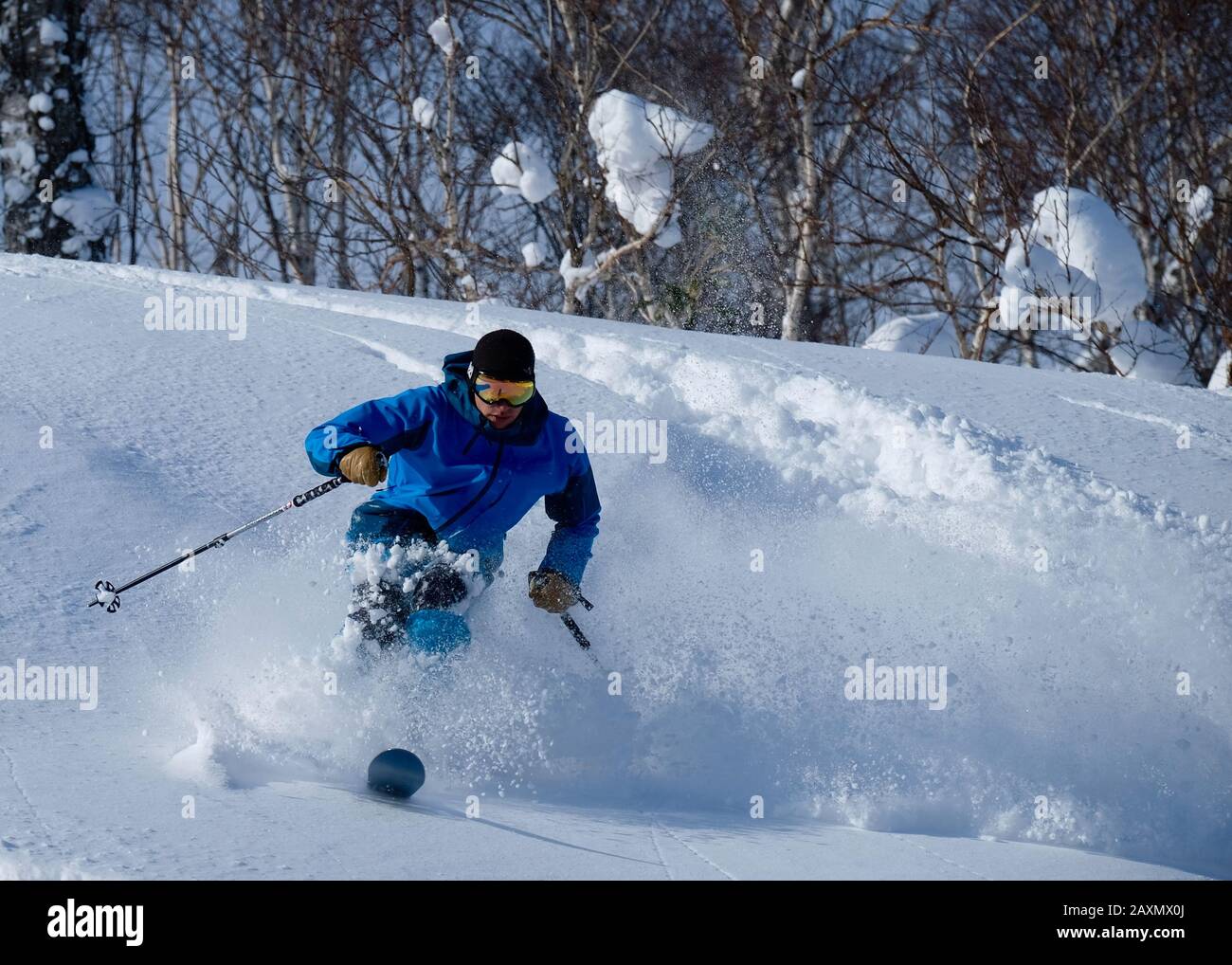Powder skiing hi-res stock photography and images - Alamy