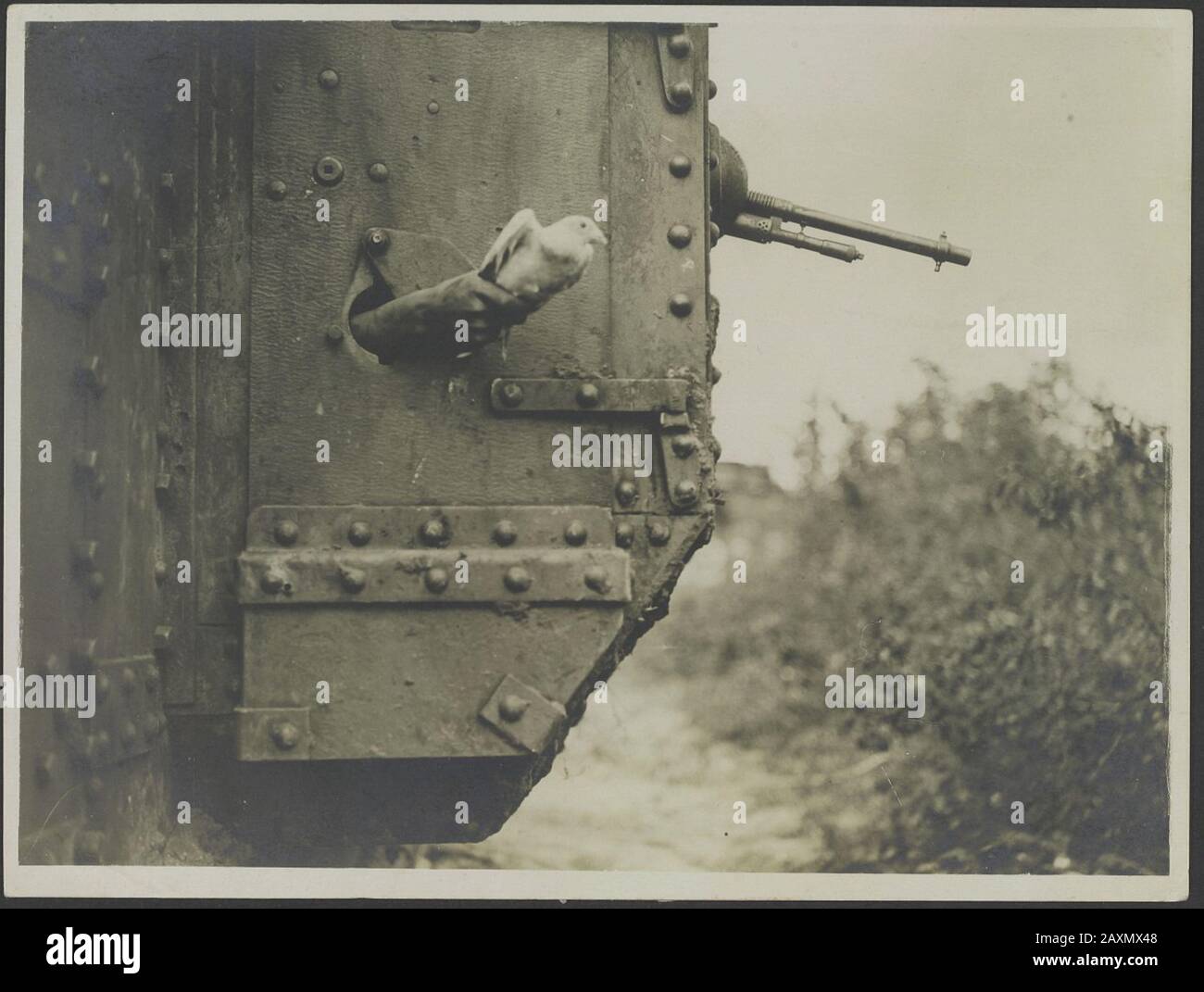 158 infantry hi-res stock photography and images - Alamy