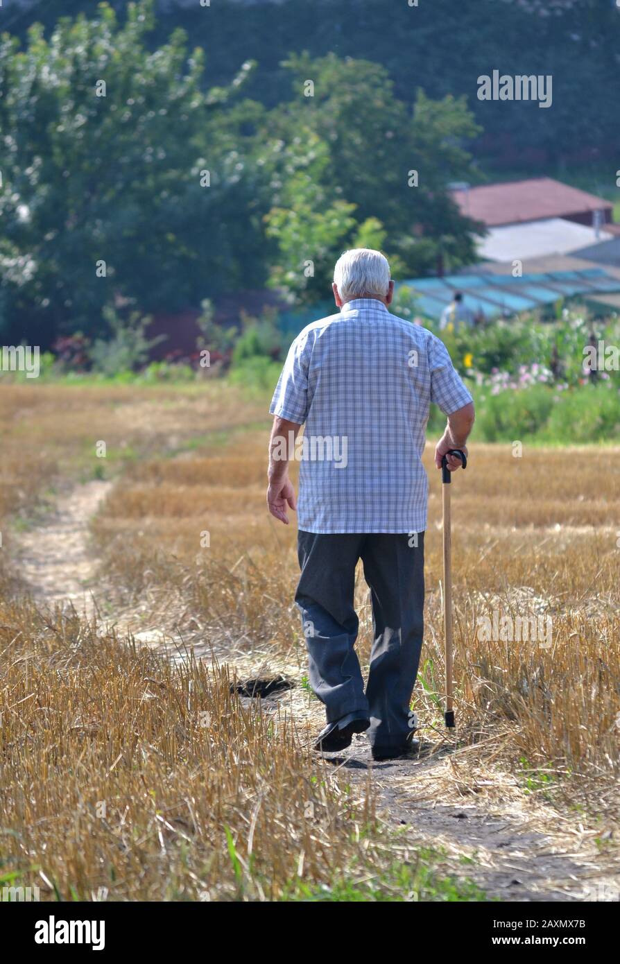 Old man with cane hi-res stock photography and images - Alamy