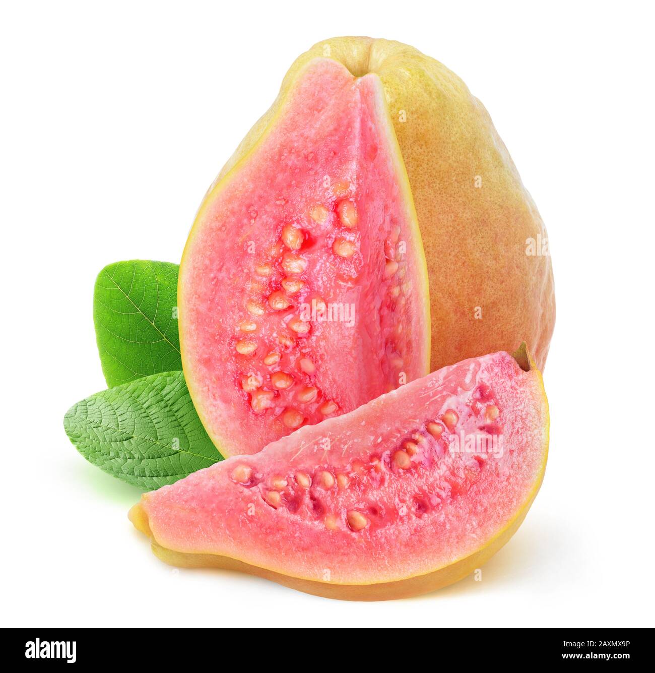 Isolated guava fruit. One yellow pink fleshed guava with cutout piece ...