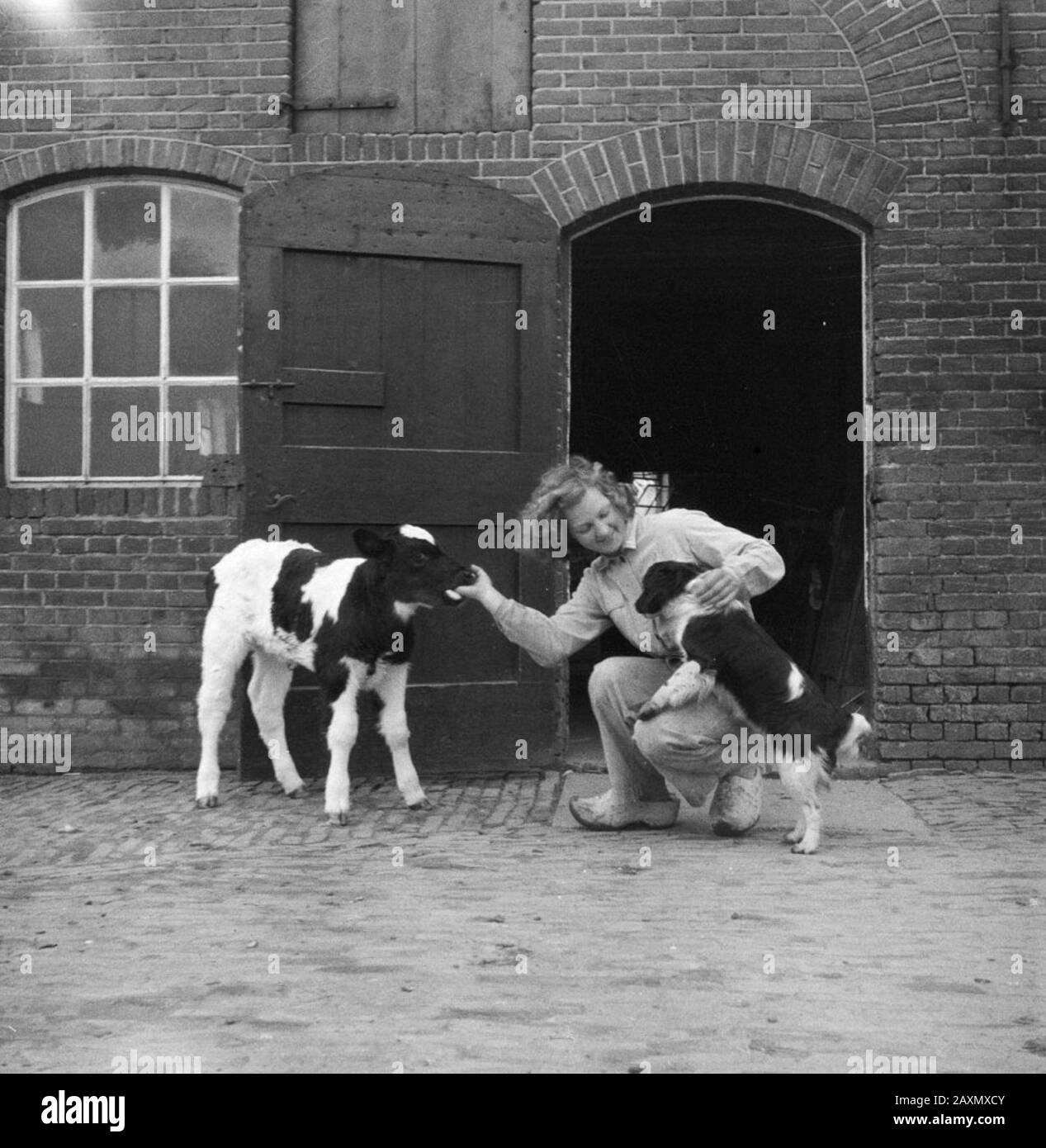 Detail of a dog Black and White Stock Photos & Images - Alamy